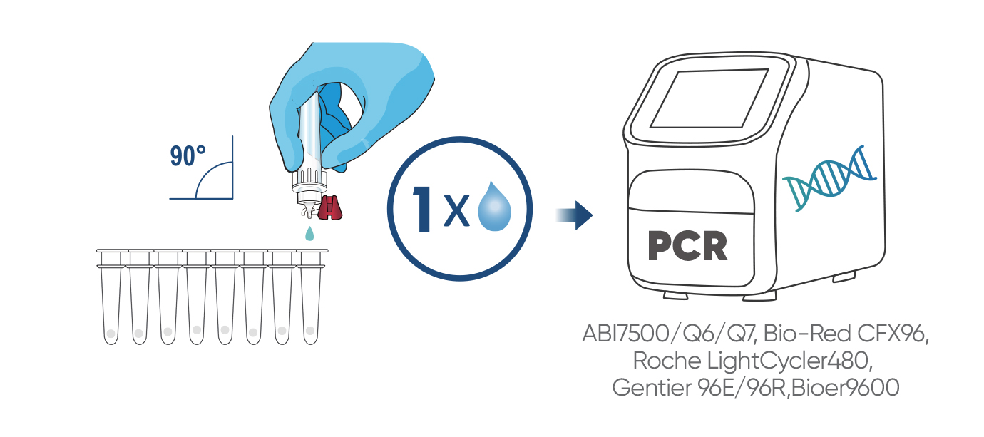 Rapid DNA/RNA Test Solution for Respiratory Diseases - BioTeke ...