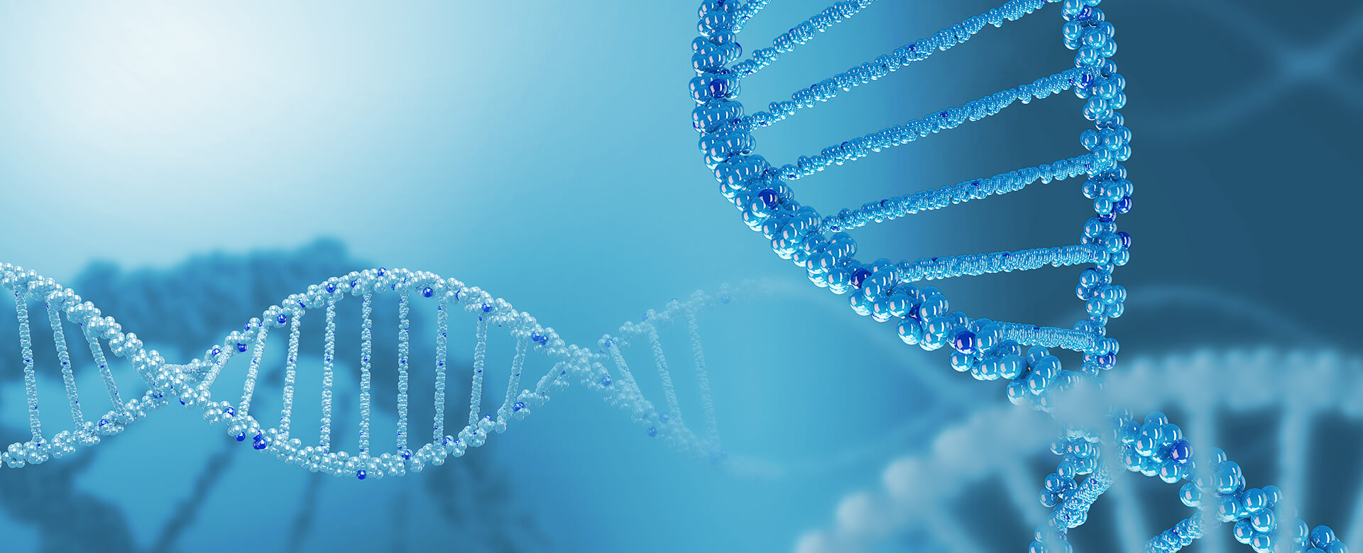 Rapid Test, Rapid Extraction, Covid 19 Test Manufacturer & Supplier ...